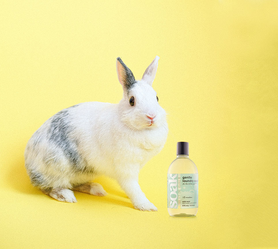 No-rinse – Soak Wash Inc. D2C-CA